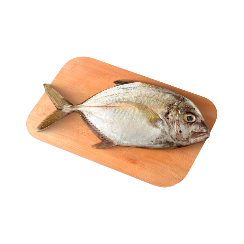 Talakitok (Maliputo)