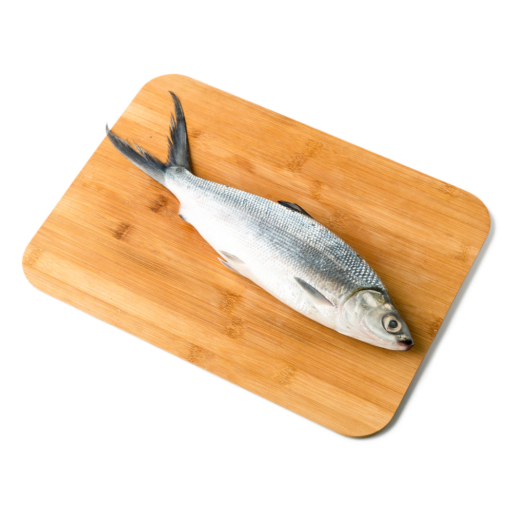 Bangus Big