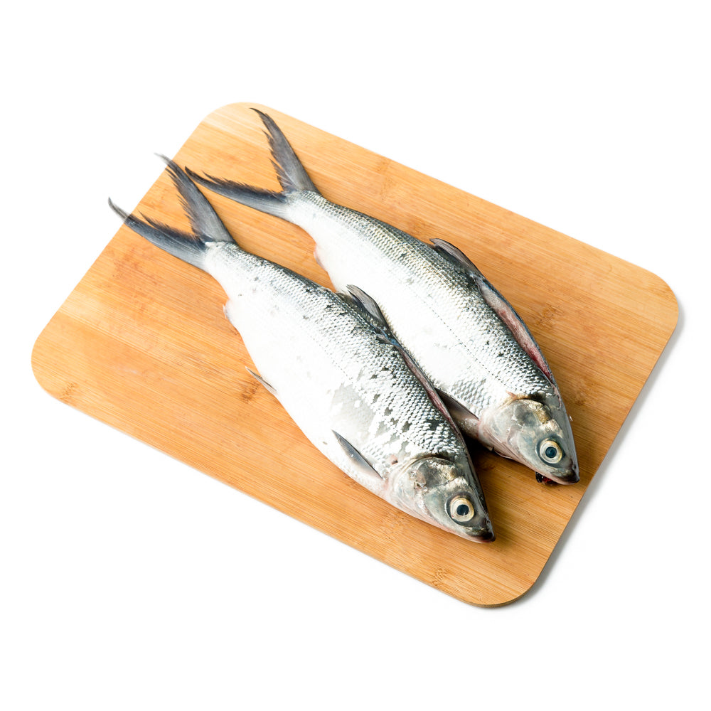Bangus Big